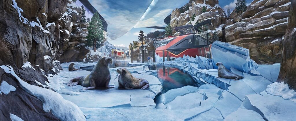 Unveiling The Arctic Wonders: See The Incredible Walruses Of SeaWorld ...